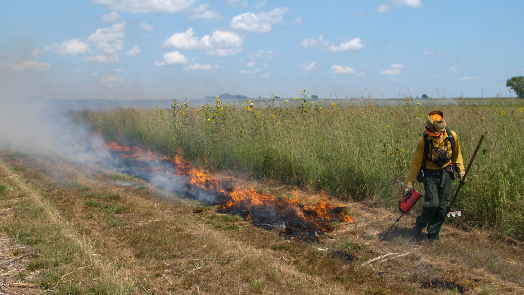 Prescribed Fire in the Rainwater Basin - Rainwater Basin Joint Venture
