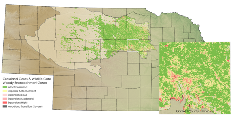 2022 CEAP Report - Rainwater Basin Joint Venture